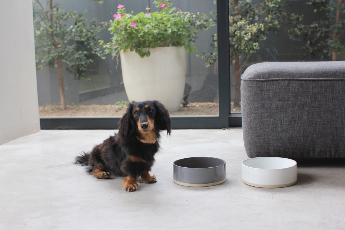 Benji + Moon – WindowsWear