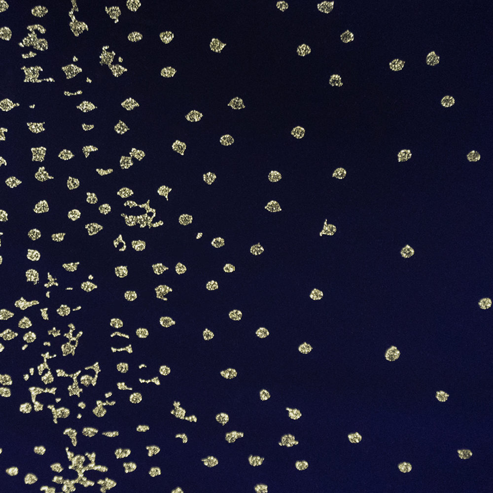 TECHNOLOGY Large-Scale Glitter Projection Printing – WindowsWear